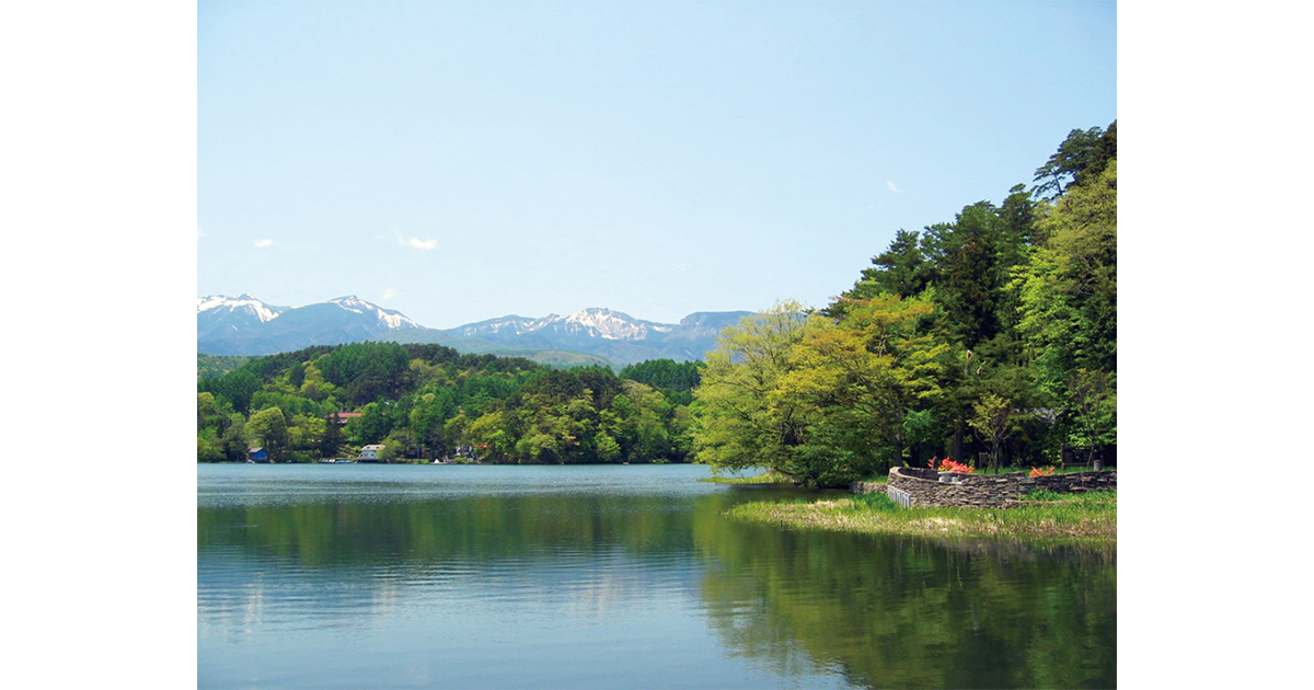 トラベルライフスタイルマガジン「Livhub」に「小海 SX Field」の取り組みが紹介されました | 株式会社さとゆめ